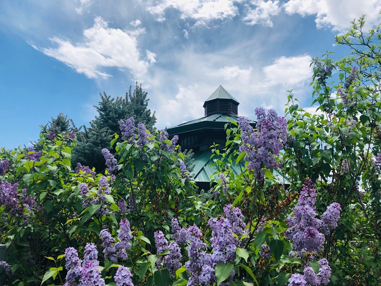 Butterfly Pavilion | What's Happening | Baseline